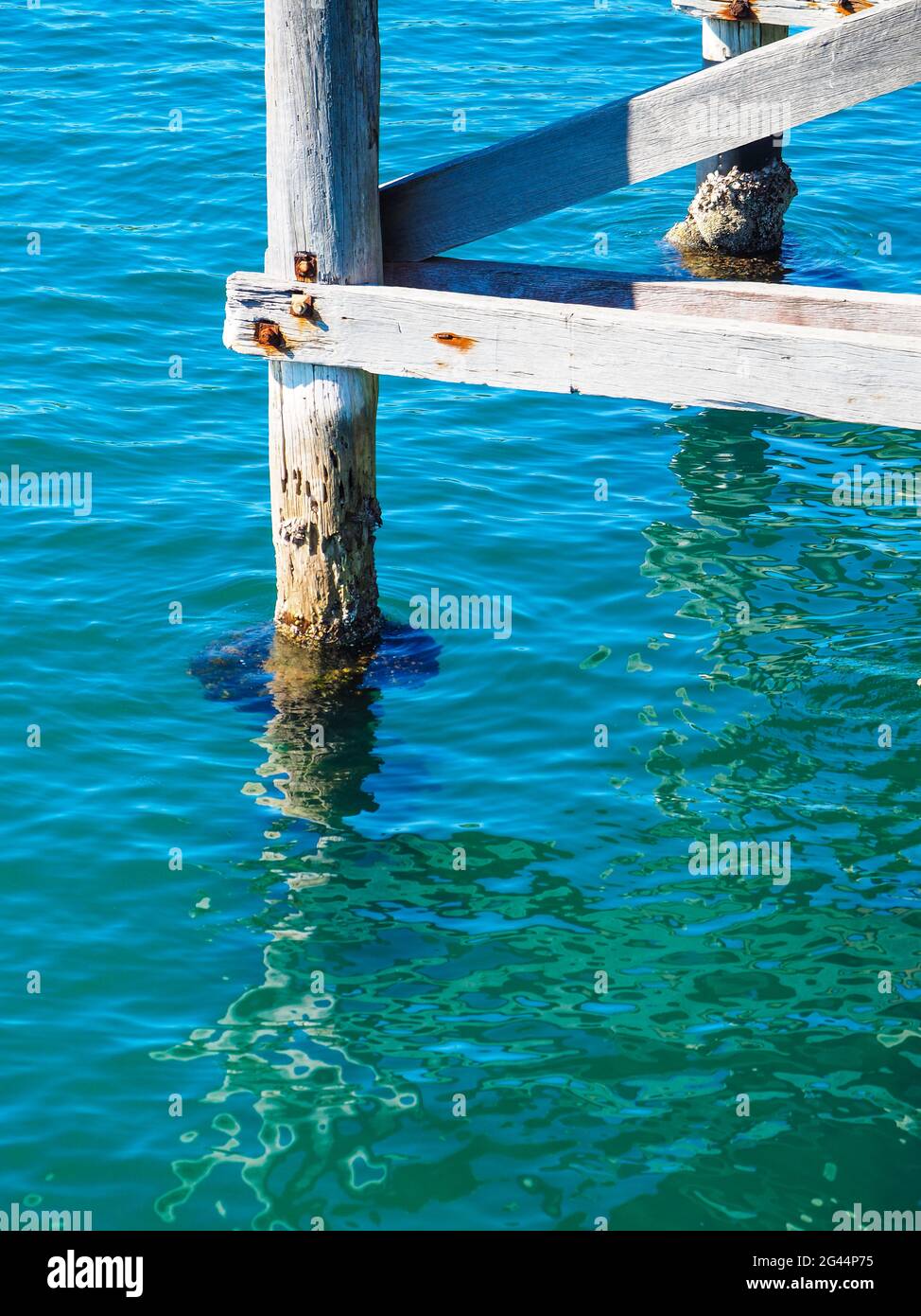 Wooden pilings under the jetty pier, immersed in the beautiful blue ...