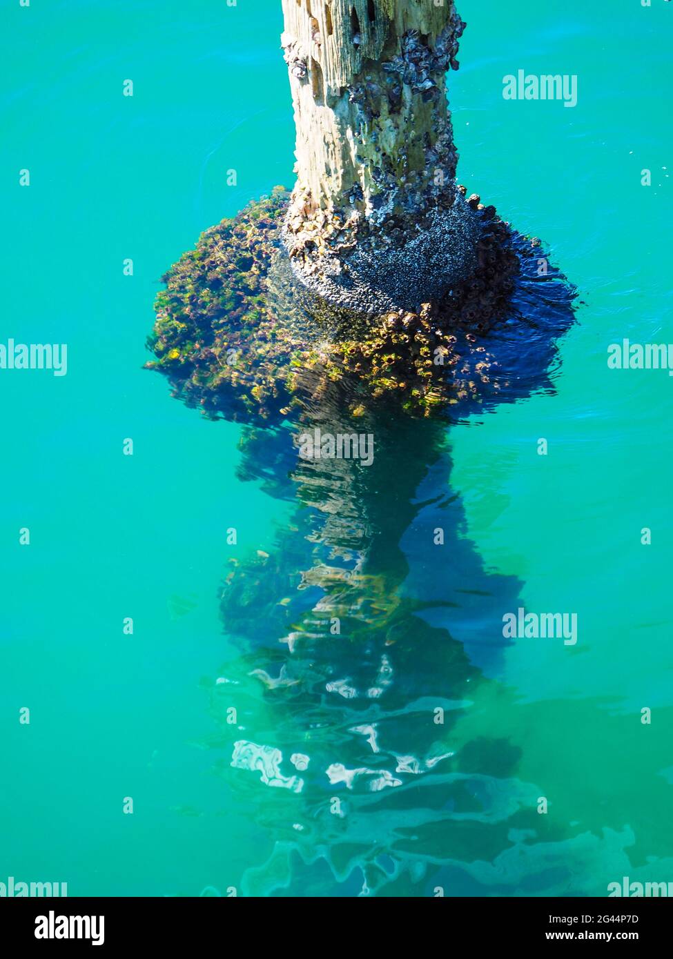 Timber Pilings High Resolution Stock Photography and Images - Alamy
