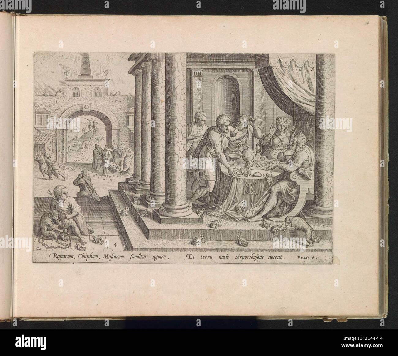 Bible Pharaoh And Frogs