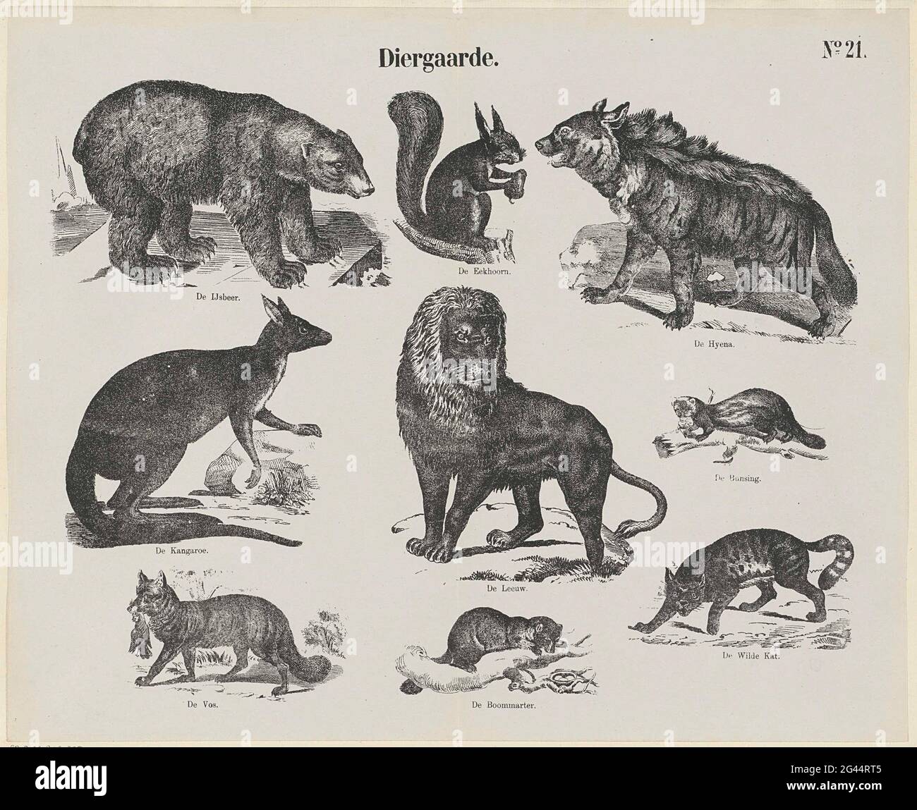 Zoo; Meijer's prints. Leaf with 9 performances of animals, including a ...