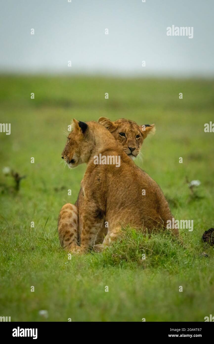Facing in opposite directions hi-res stock photography and images - Alamy