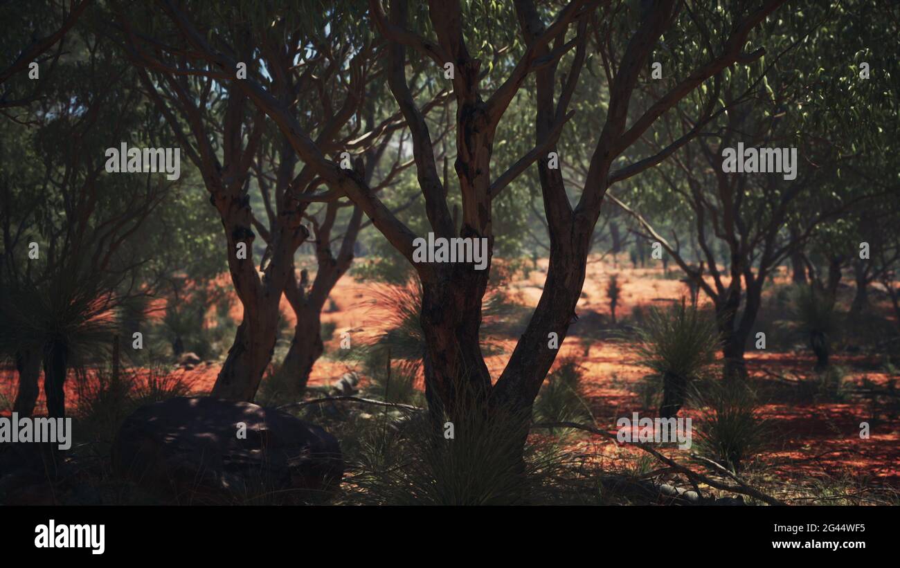 Red sand bush with trees Stock Photo - Alamy