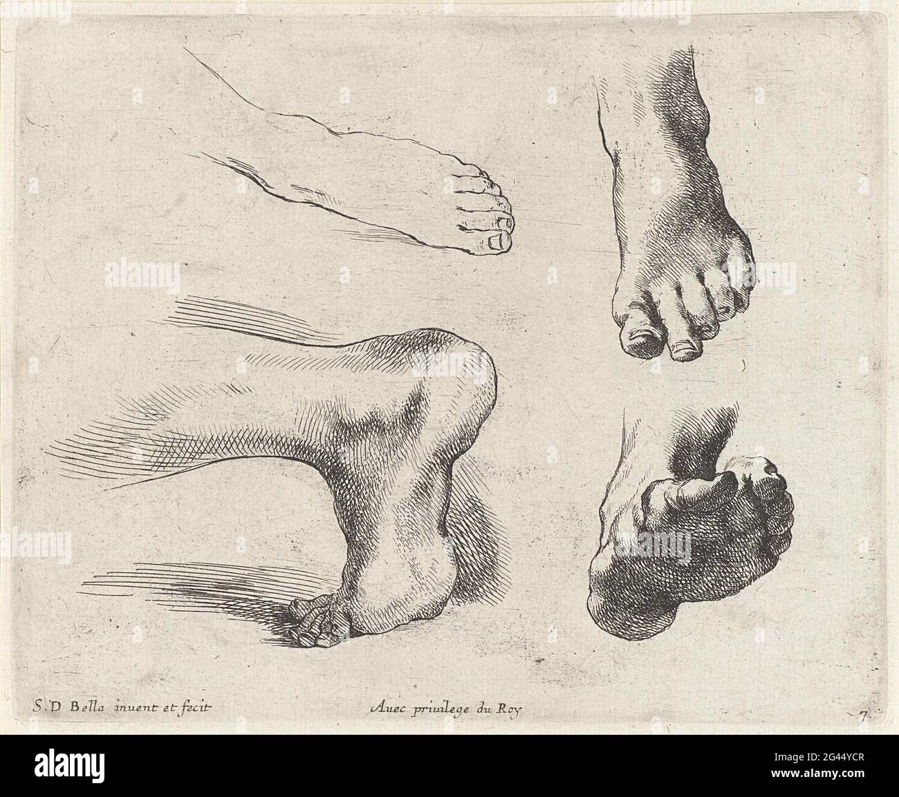 Four feet; The principles of drawing; I Principii del Disegno Stock ...