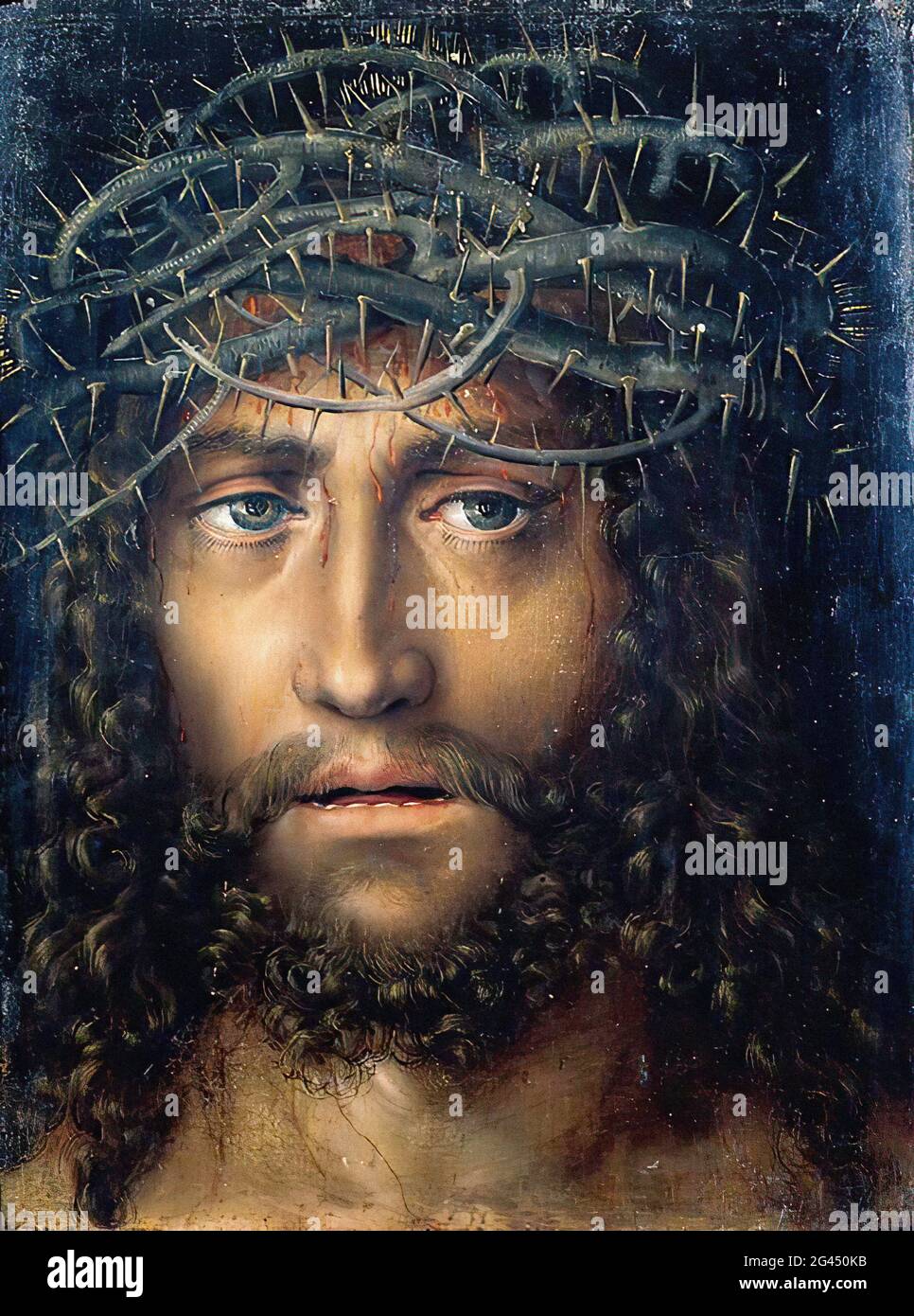 Lucas Cranach the Elder - Head Christ Crowned with Thorns 1510 Stock ...