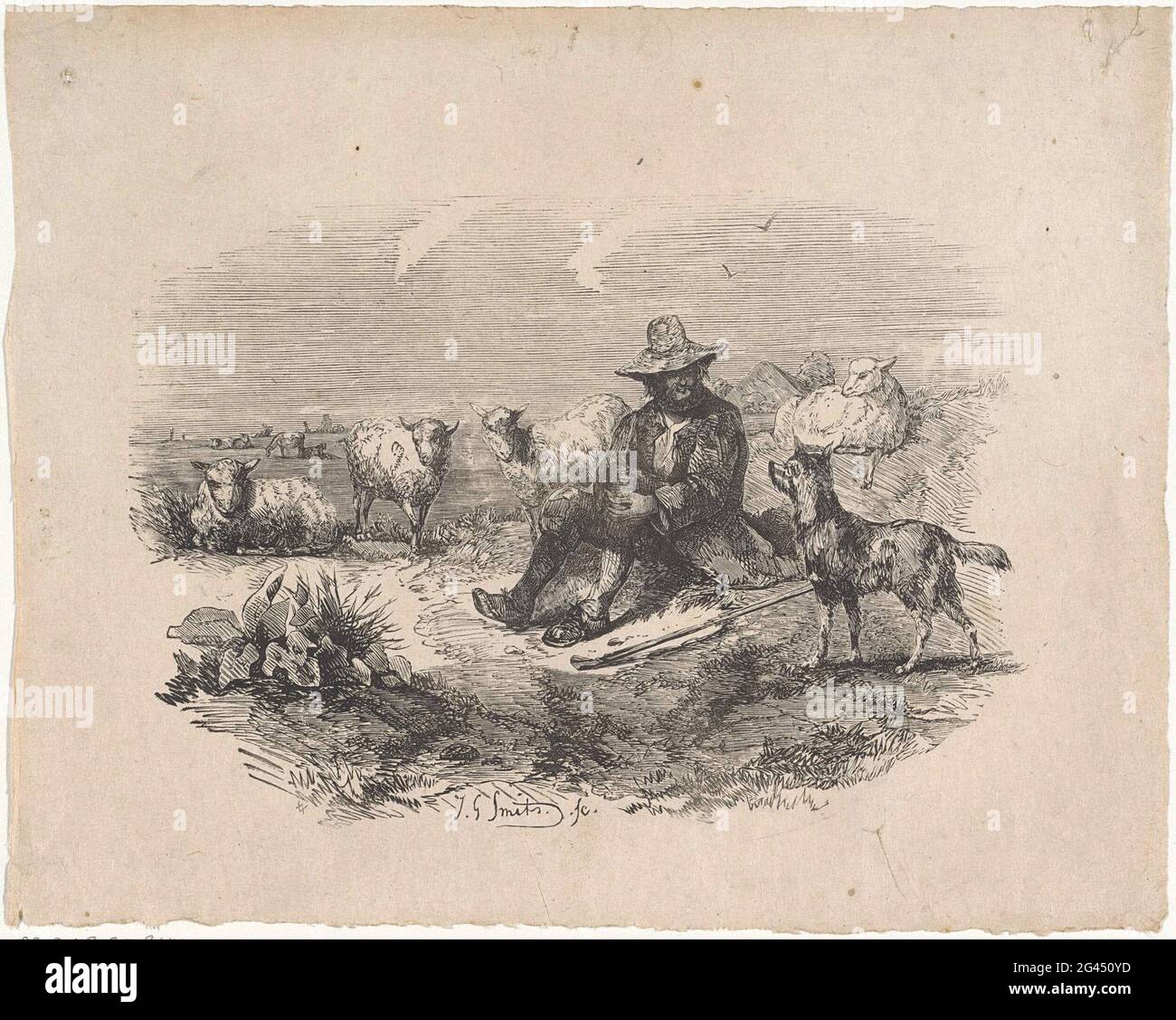 Shepherd with his dog between the sheep Stock Photo - Alamy