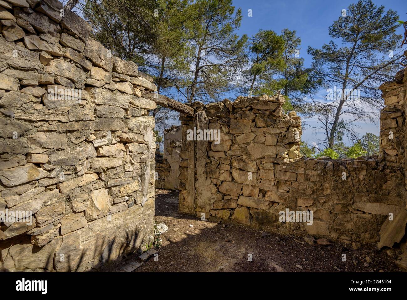 Visit to one of the Battle of the Ebro Spaces. Images of the XV ...