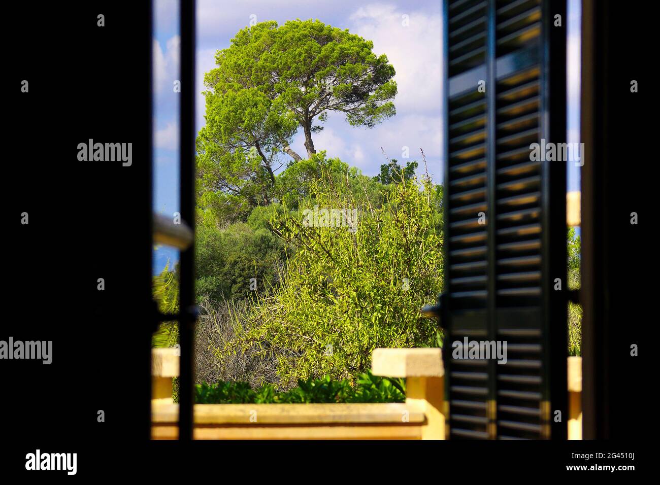 Woody window hi-res stock photography and images - Alamy