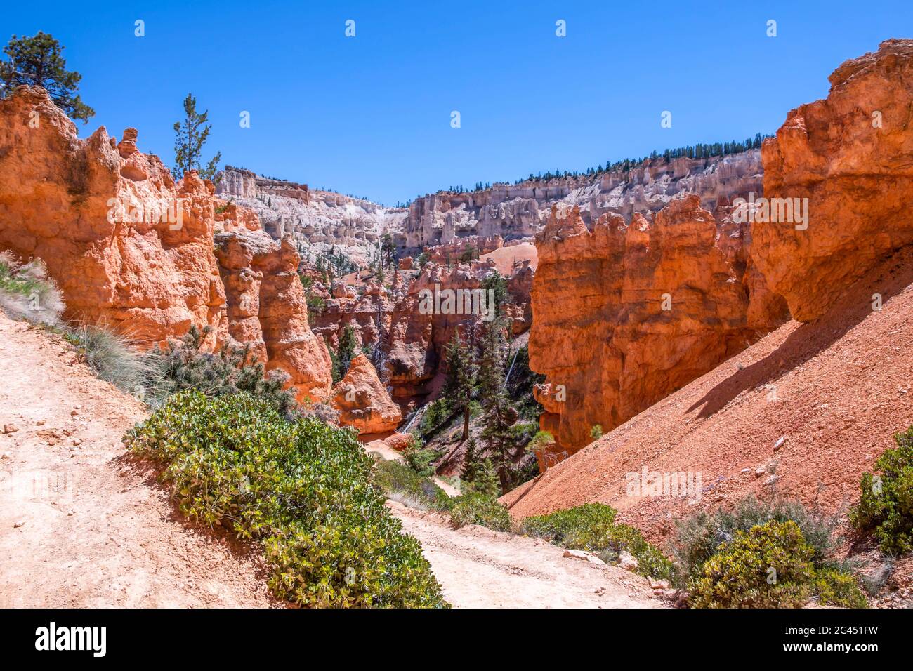 A natural rock formation of Red Rocks Hoodoos in Bryce Canyon National ...