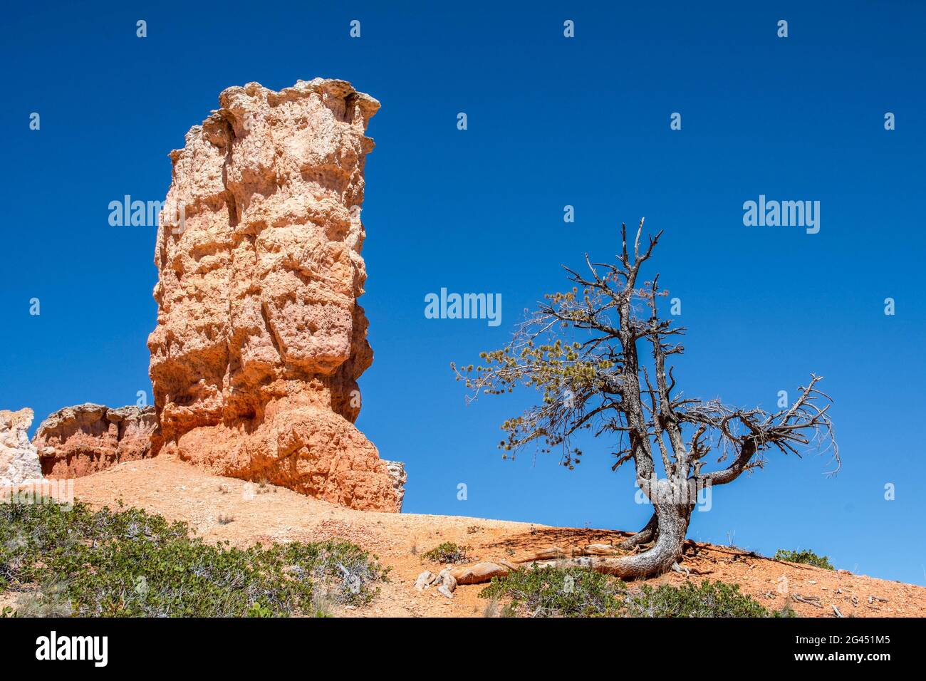 A natural rock formation of Red Rocks Hoodoos in Bryce Canyon National ...