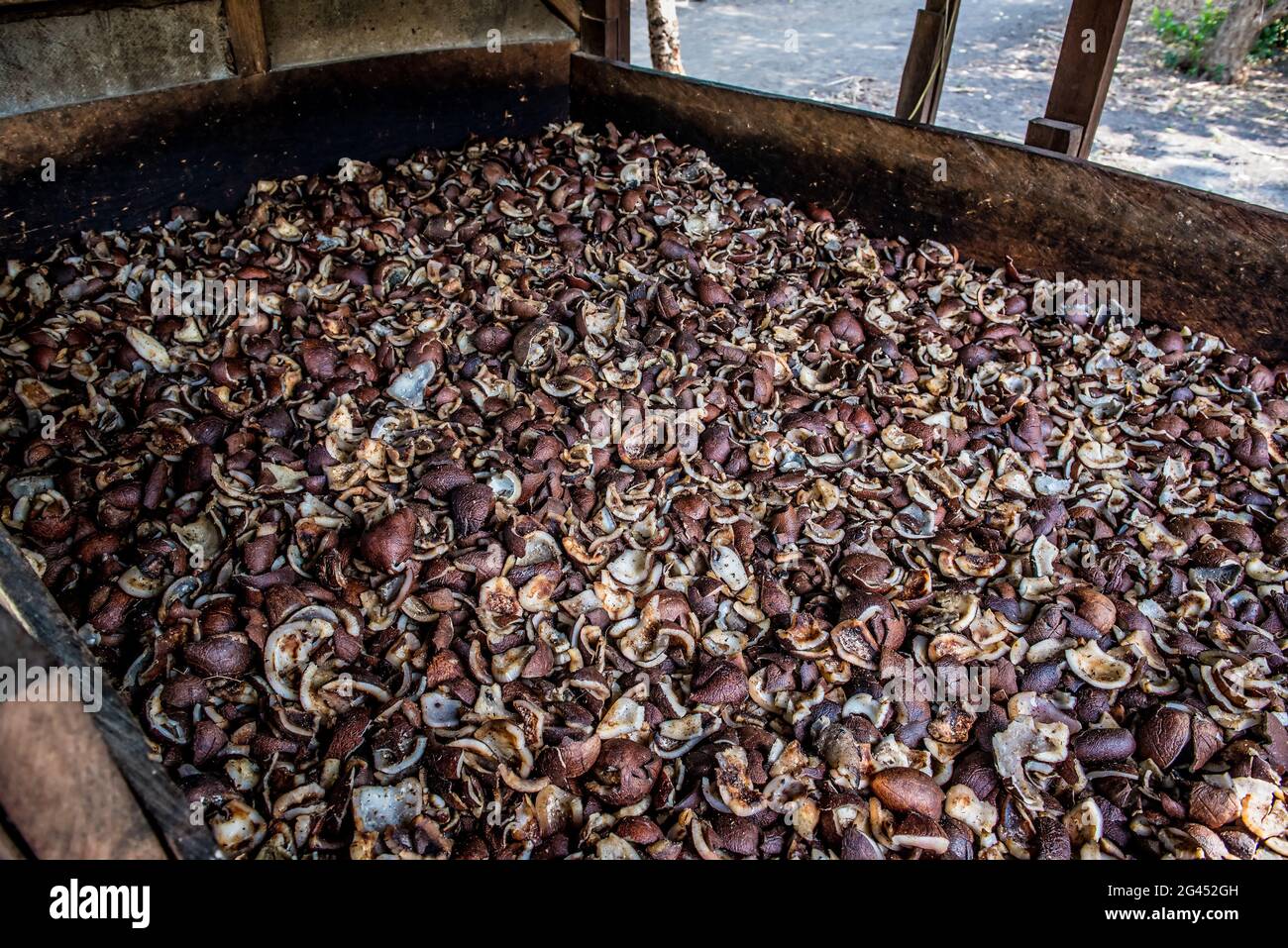 Drying copra hi-res stock photography and images - Alamy