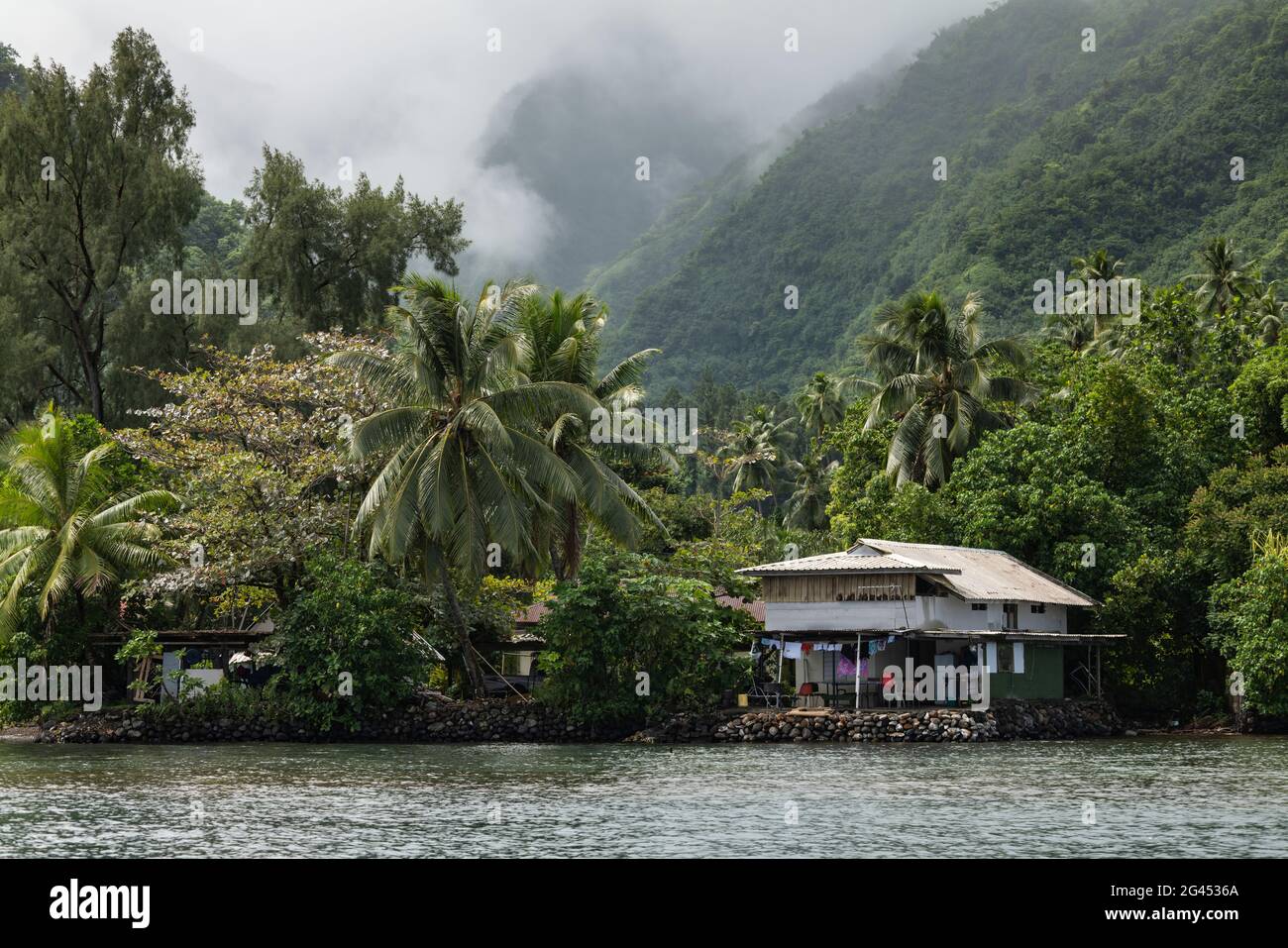 Tahiti french polynesia vegetation hi-res stock photography and images ...