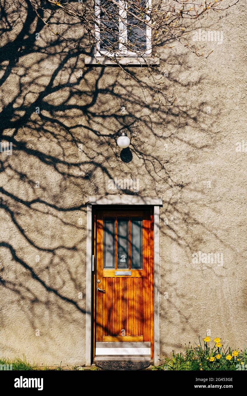 Wooden brown door with rectangular windows in the building under the ...