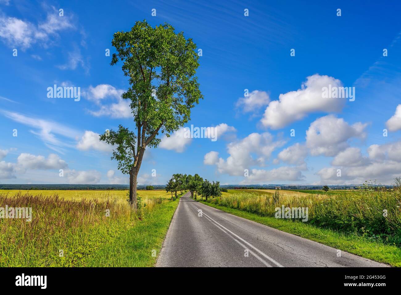 Asphalt road in the countryside Stock Photo - Alamy