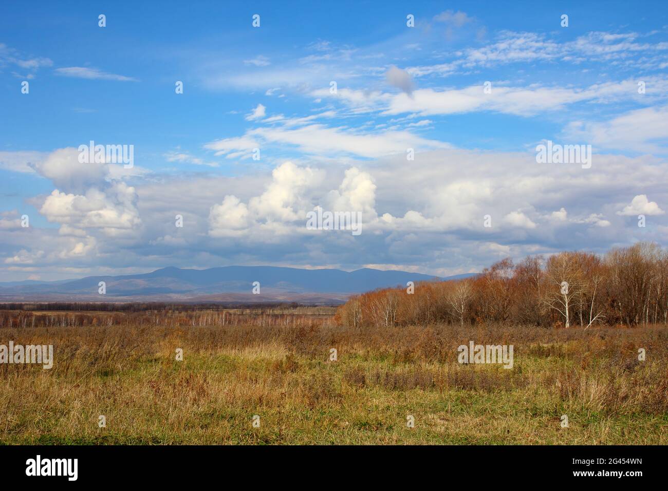 Colorful mountain forest yellow hi-res stock photography and images - Alamy