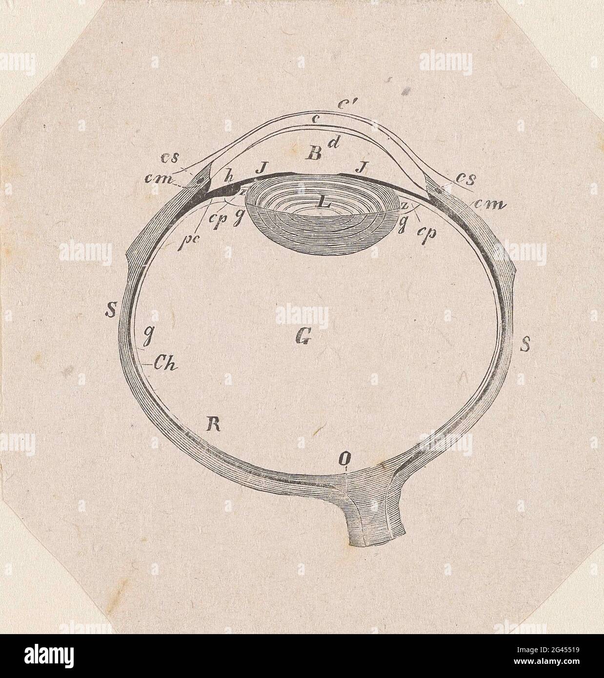 Eye deviation hi-res stock photography and images - Alamy