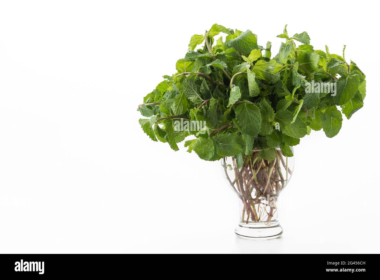 fresh peppermint on white background Stock Photo - Alamy