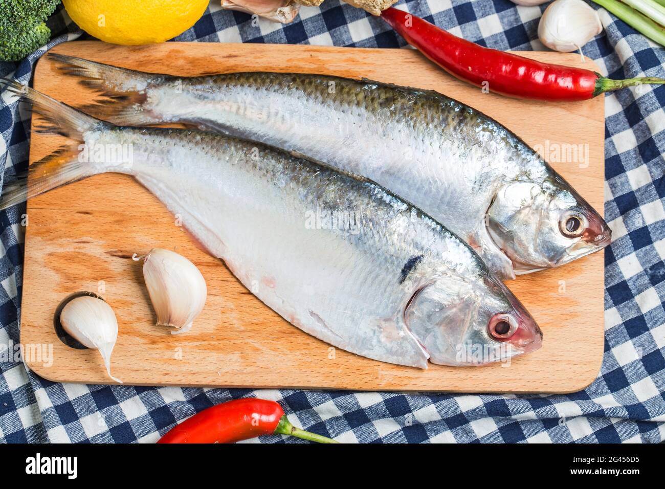 Ilish fish of Southeast Asia Stock Photo - Alamy