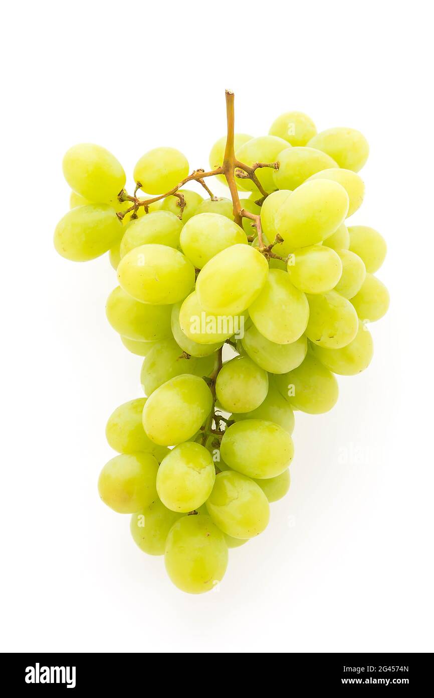 Green grape fruit isolated on white background Stock Photo - Alamy