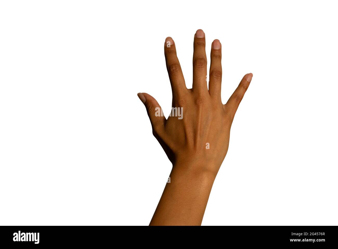 Back of the hand of a woman Stock Photo - Alamy