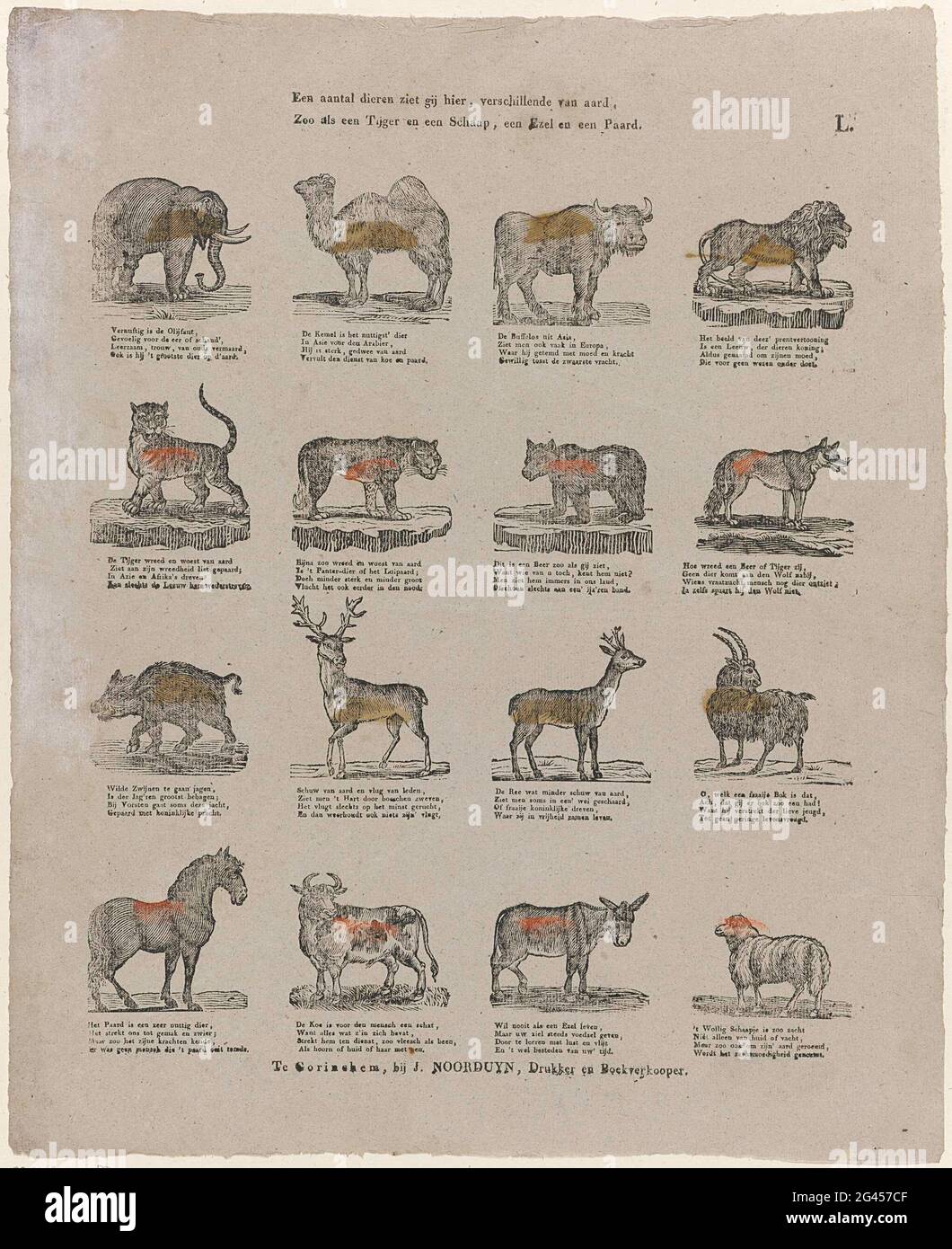 You see a number of animals here, different from nature, / so like a ...