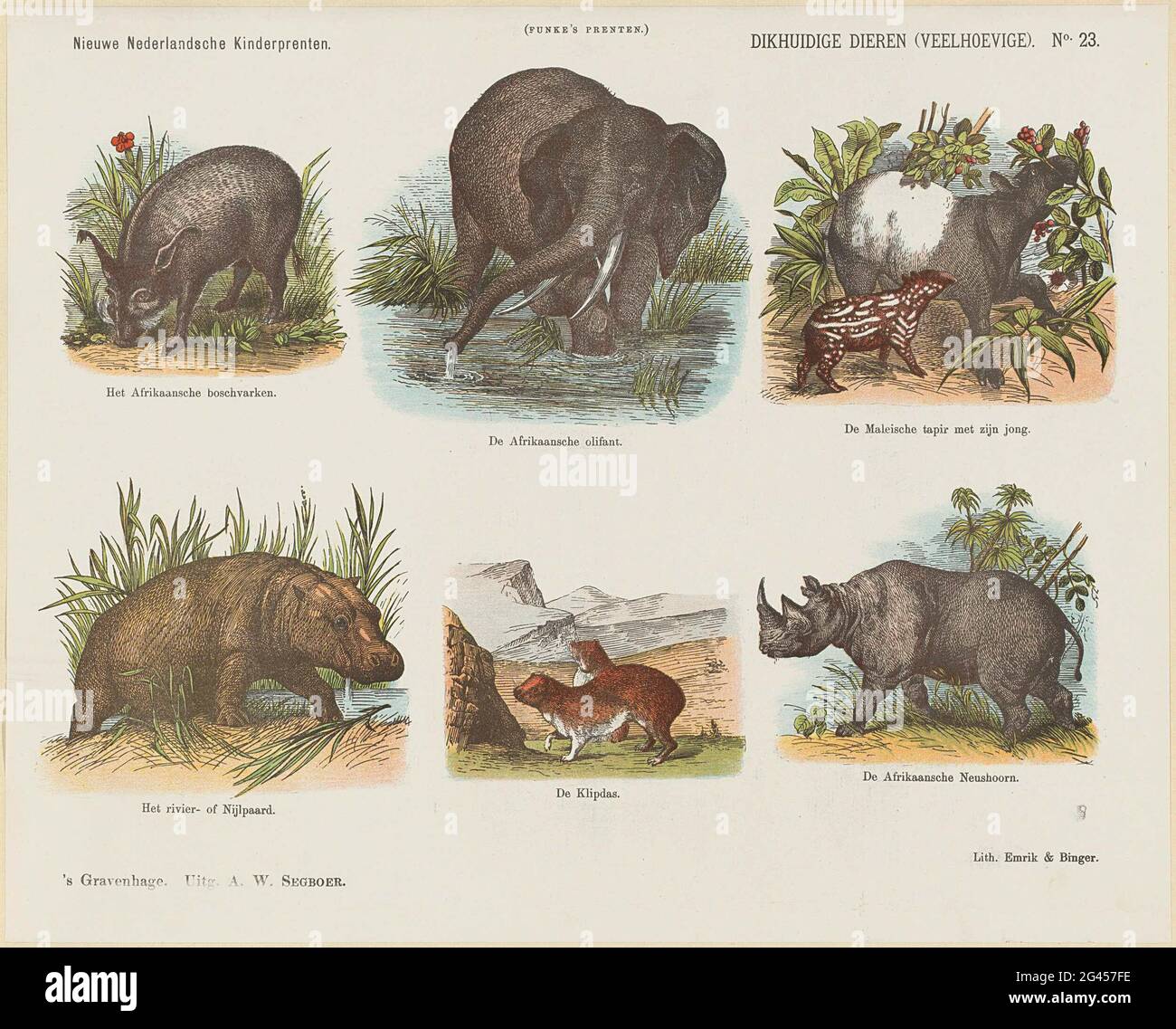 Thick-handed animals (multiply); New Dutch childrens prints; Funke's ...