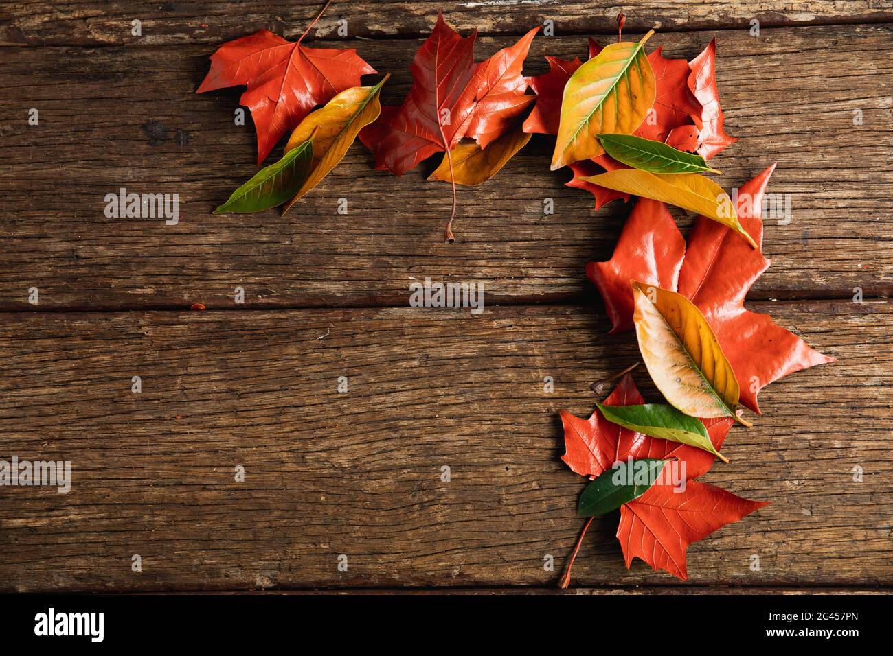 Autumn flat lay with leaves Stock Photo - Alamy