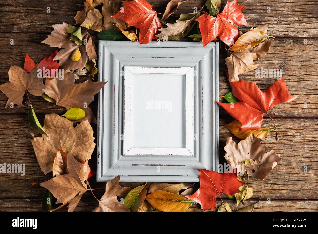 Autumn flat lay with photo frame Stock Photo - Alamy