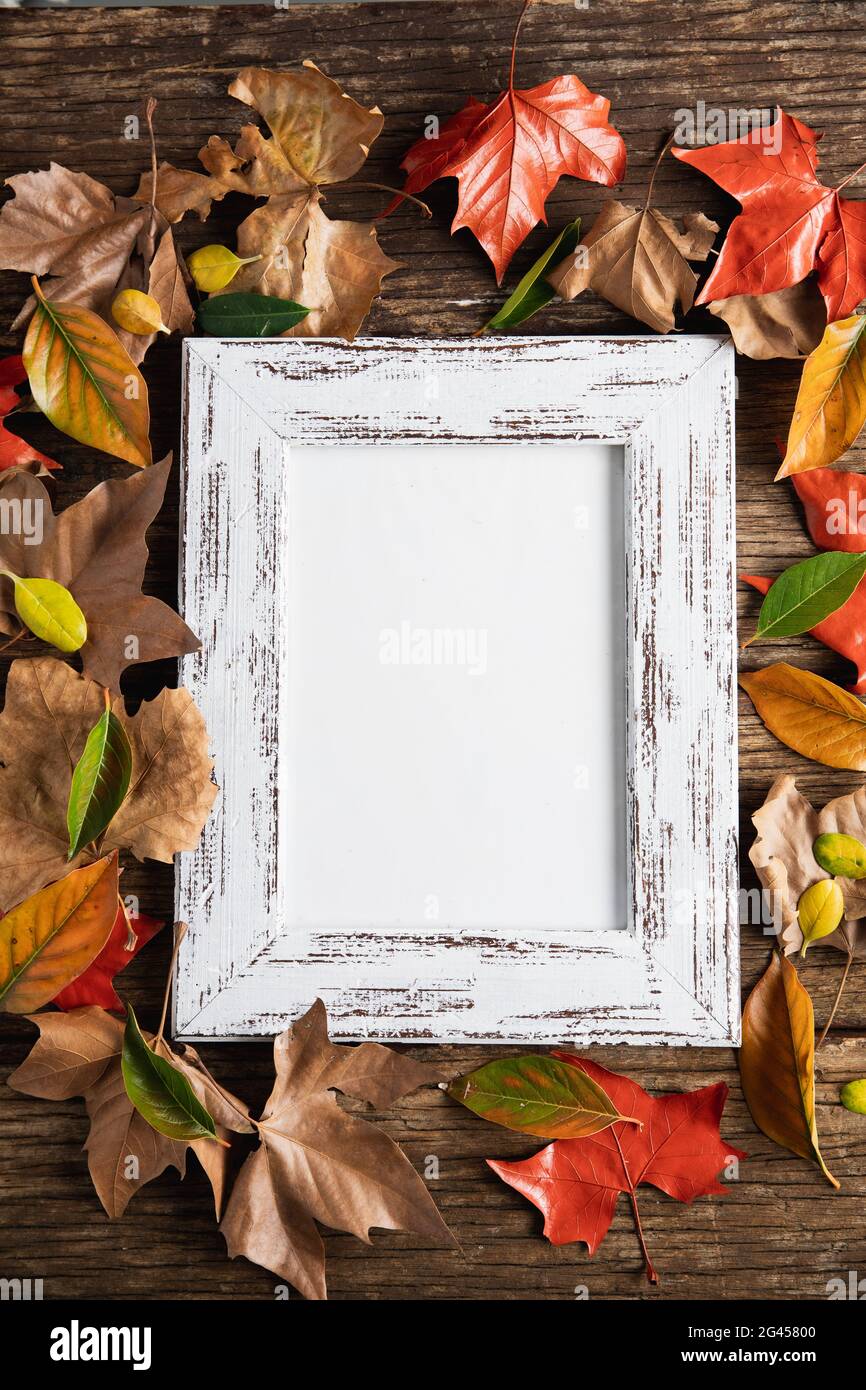 Autumn flat lay with photo frame Stock Photo - Alamy
