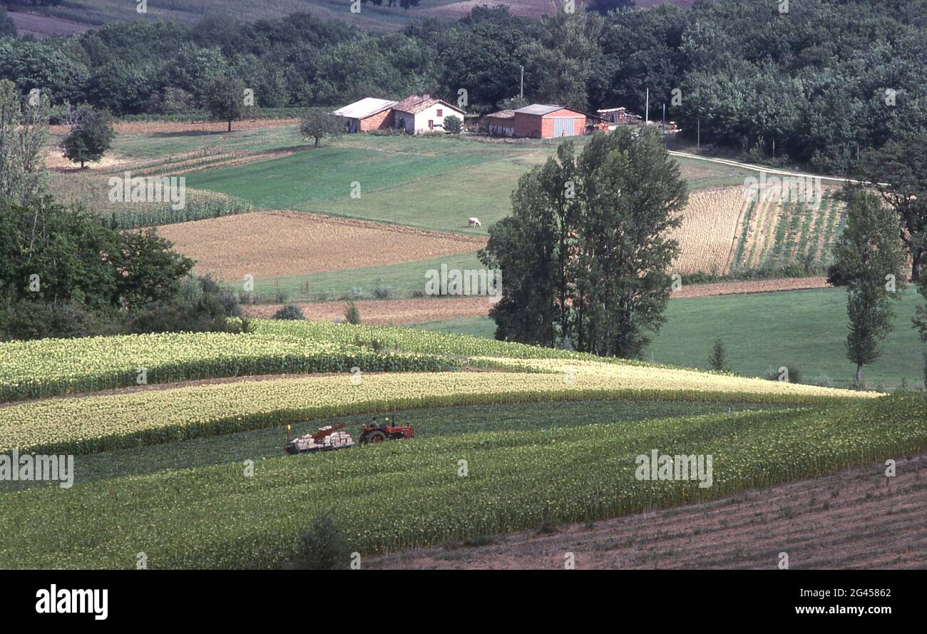 RURAL SCENE, CAUSSADE, TARN ET GARONNE. FRANCE Stock Photo - Alamy
