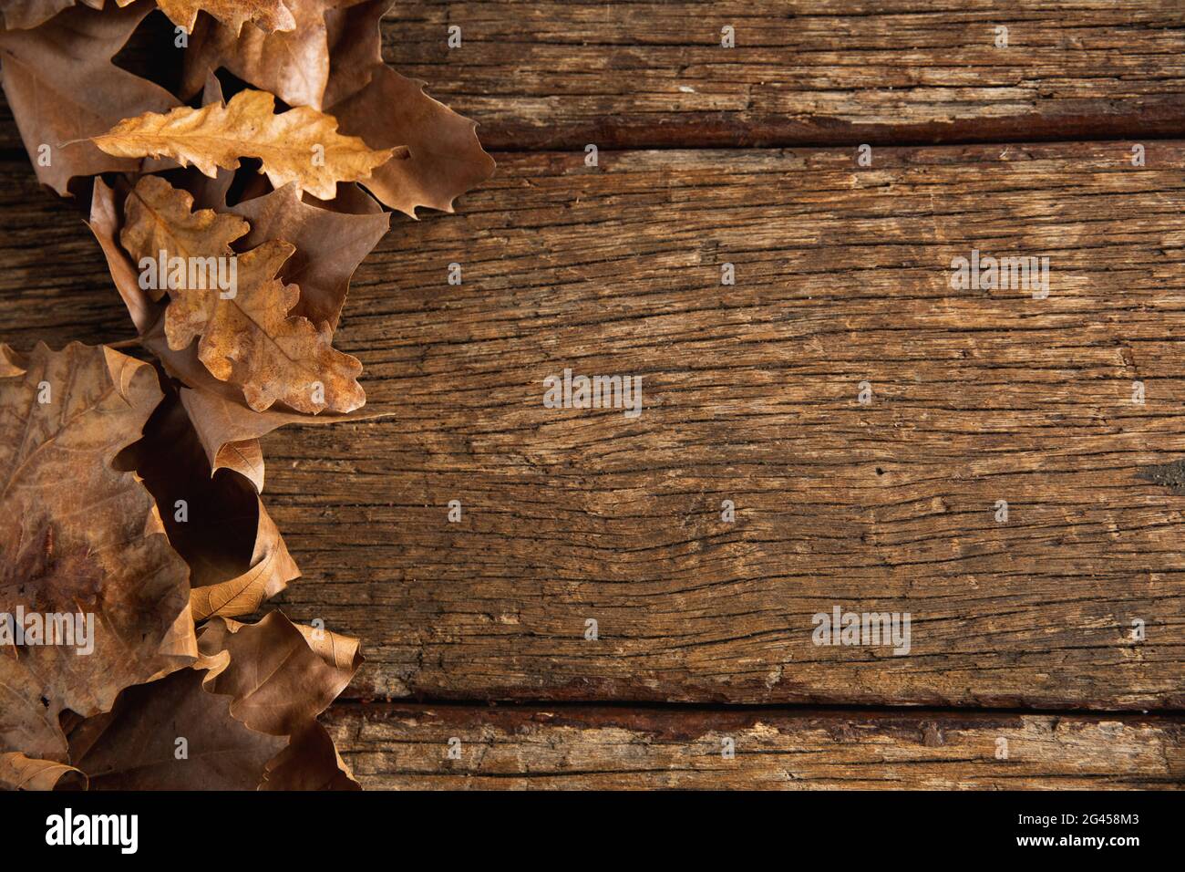 Autumn flat lay with leaves Stock Photo - Alamy
