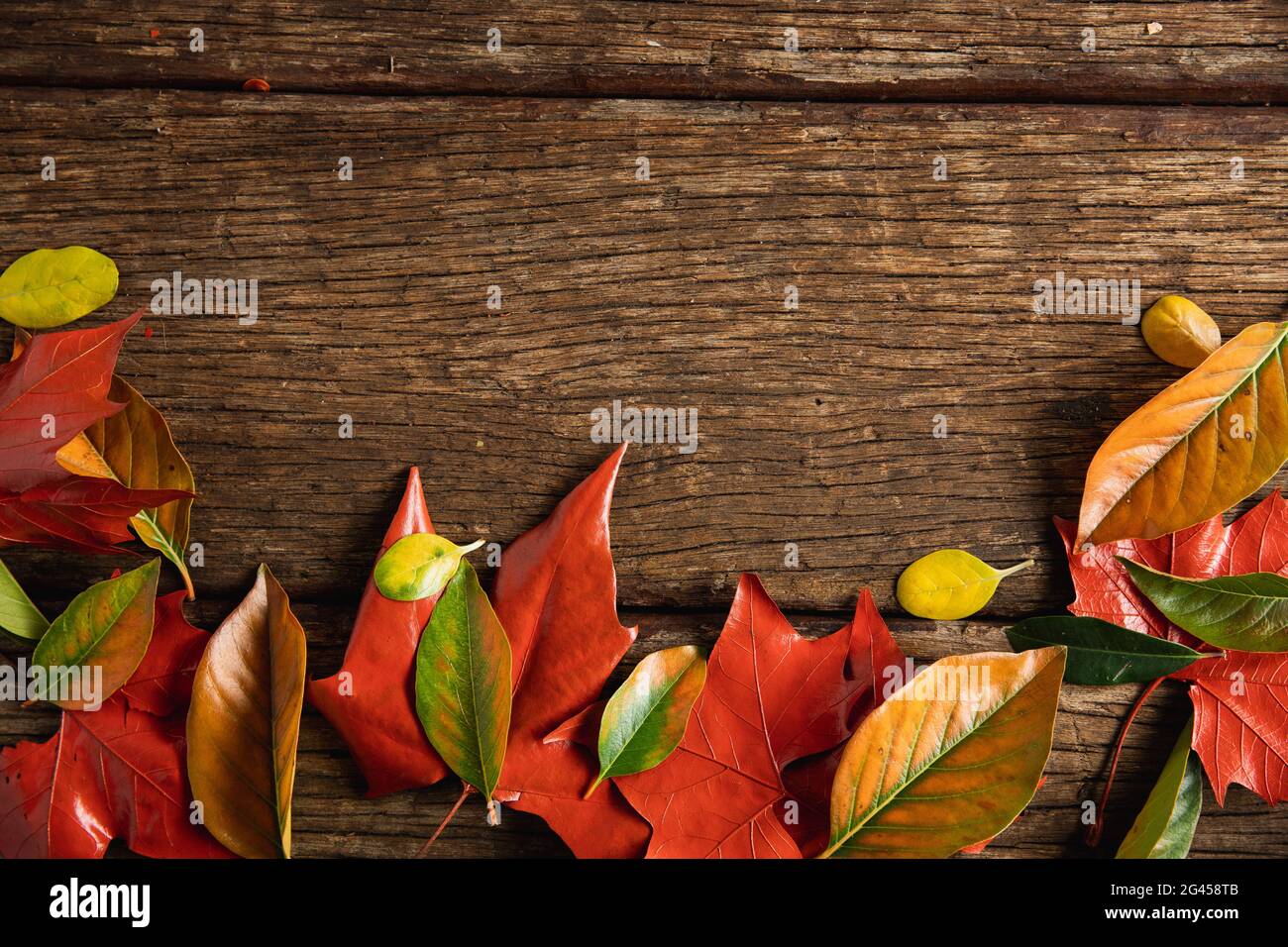 Autumn flat lay with leaves Stock Photo - Alamy