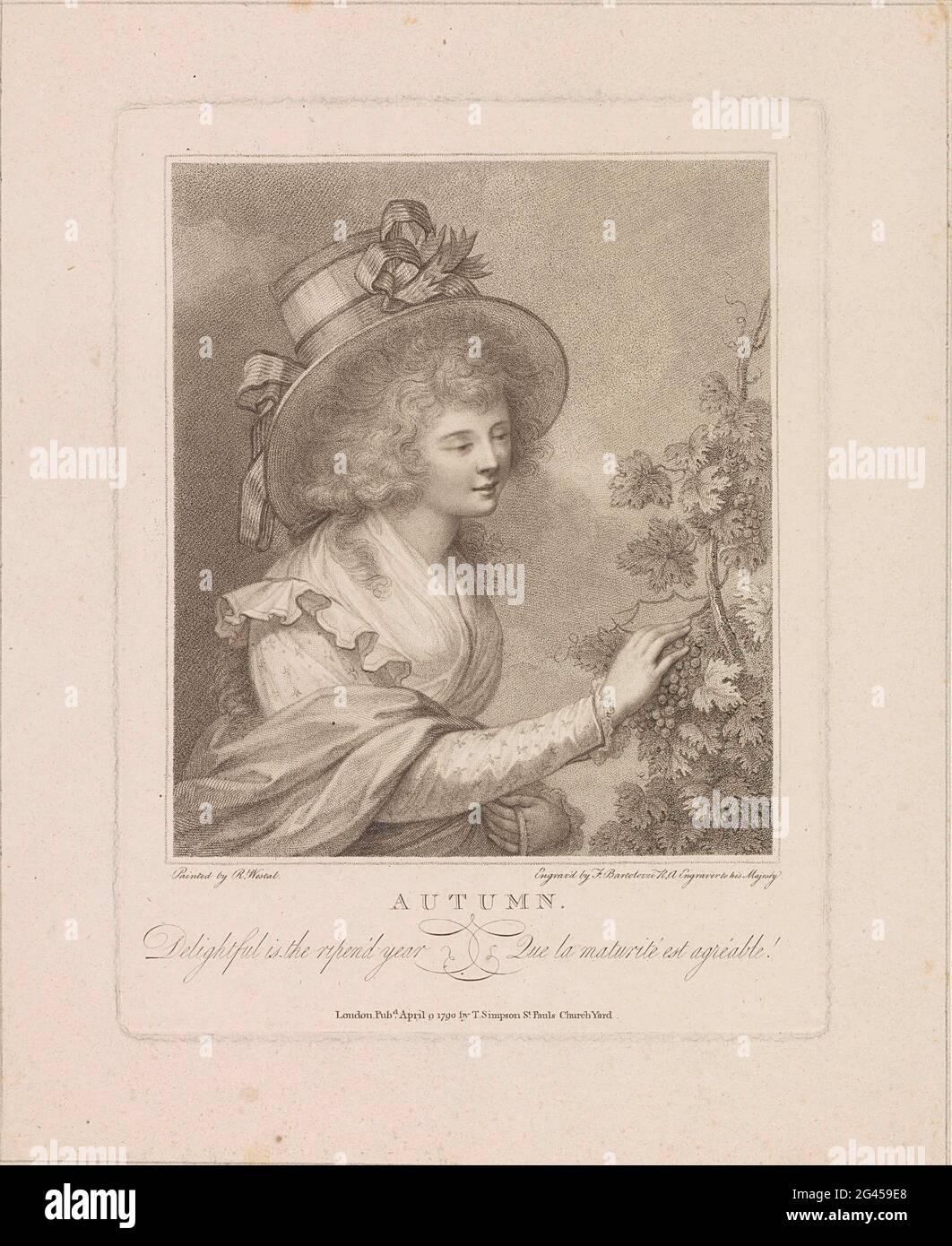 Autumn; Autumn; Four Seasons. A young woman at a grape bush ...