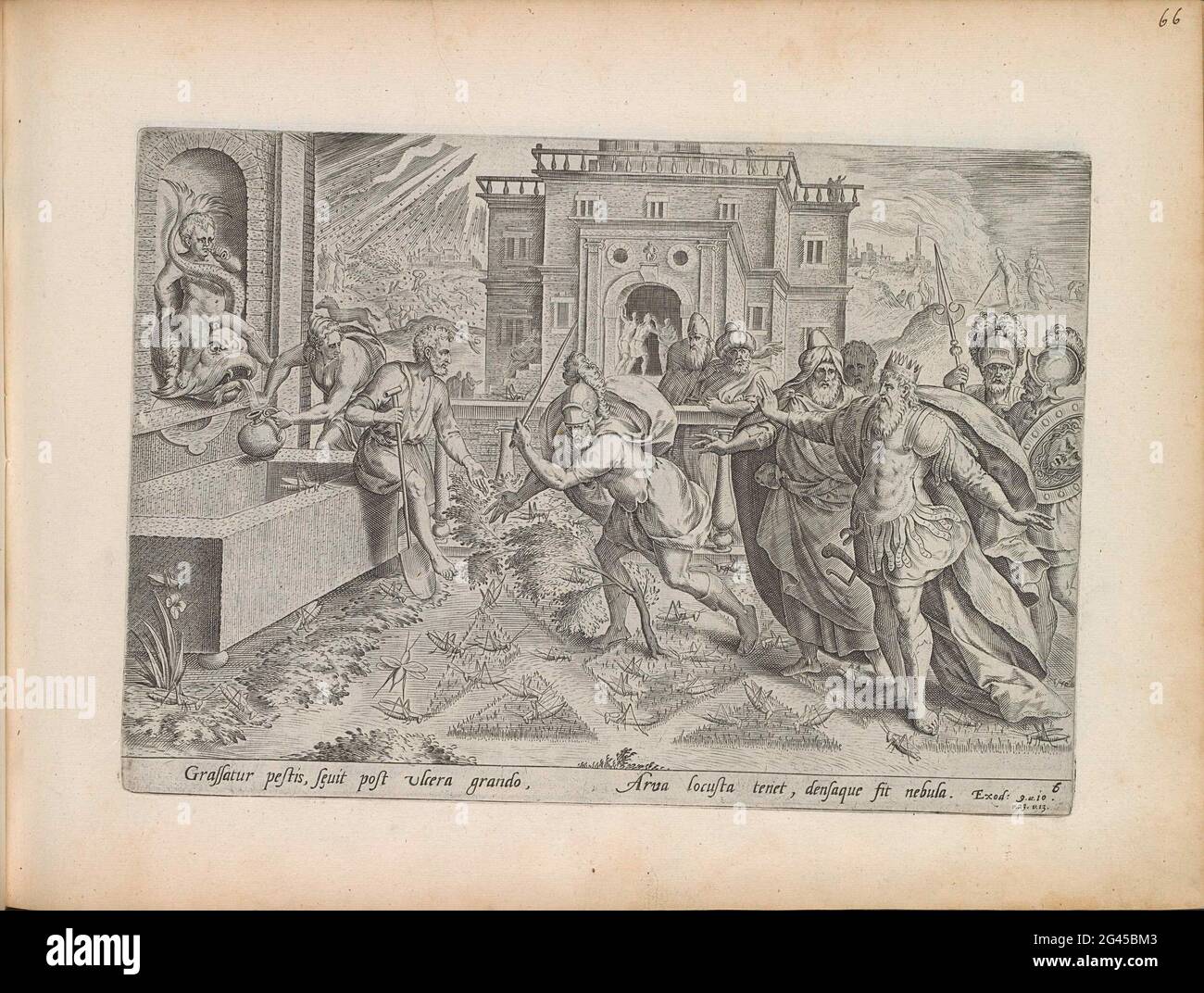 The seventh plague hi-res stock photography and images - Alamy