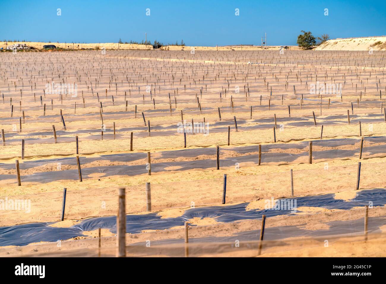 Inside desert hi-res stock photography and images - Alamy