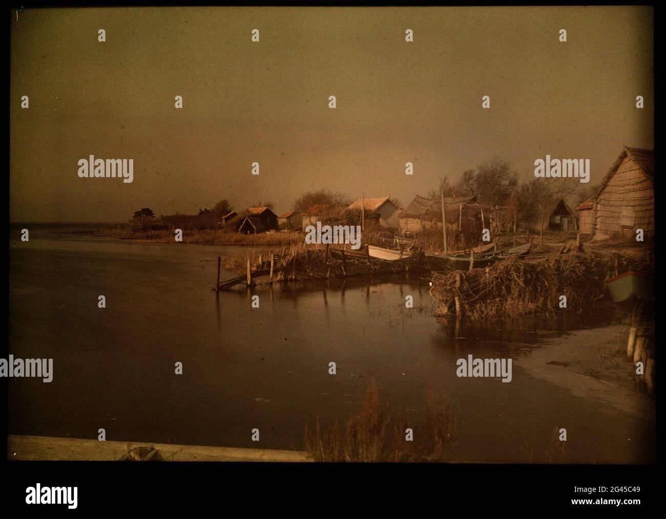 Reed landscape with water and farms or barns Stock Photo - Alamy