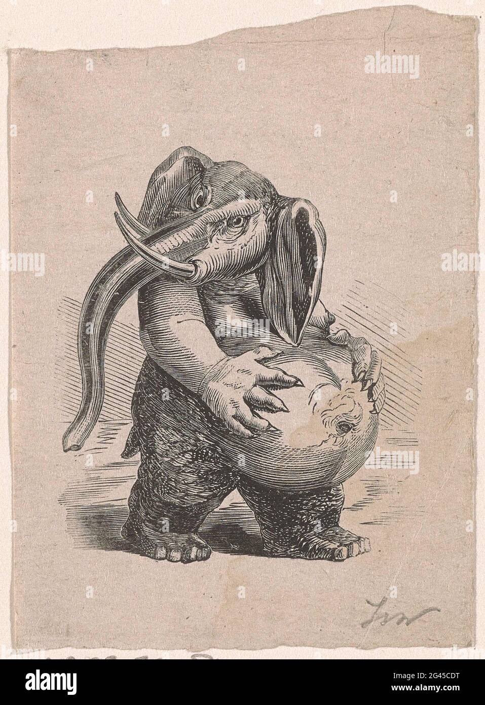 Elephant claws hi-res stock photography and images - Alamy