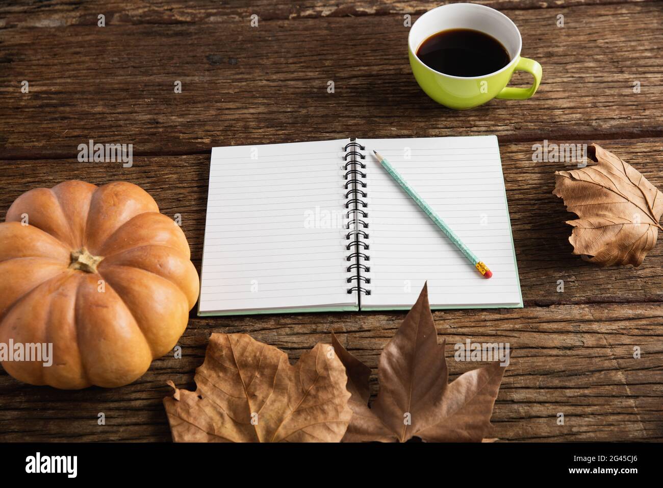 Autumn flat lay with pumpkins Stock Photo - Alamy