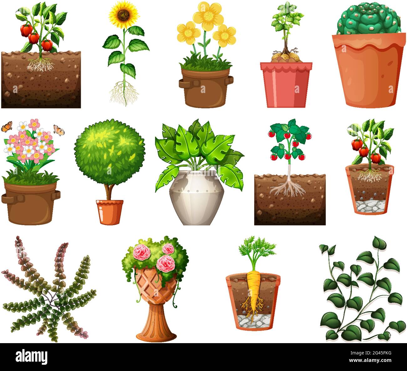 Set of different plants in pots isolated on white background ...