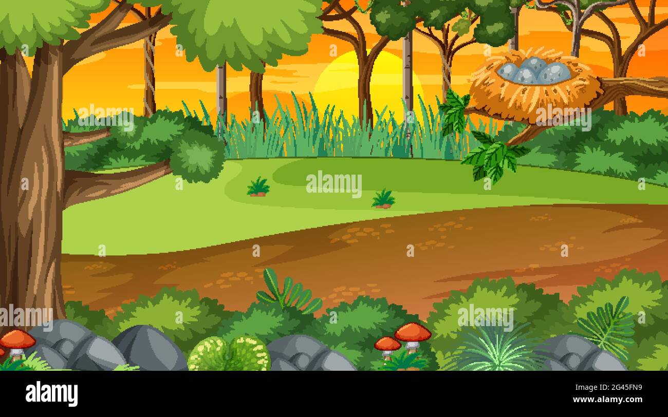 Nature forest at sunset time scene illustration Stock Vector Image ...