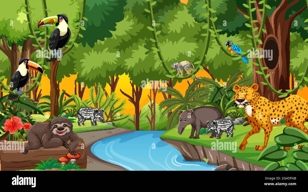 Forest at sunset time scene with different wild animals illustration ...