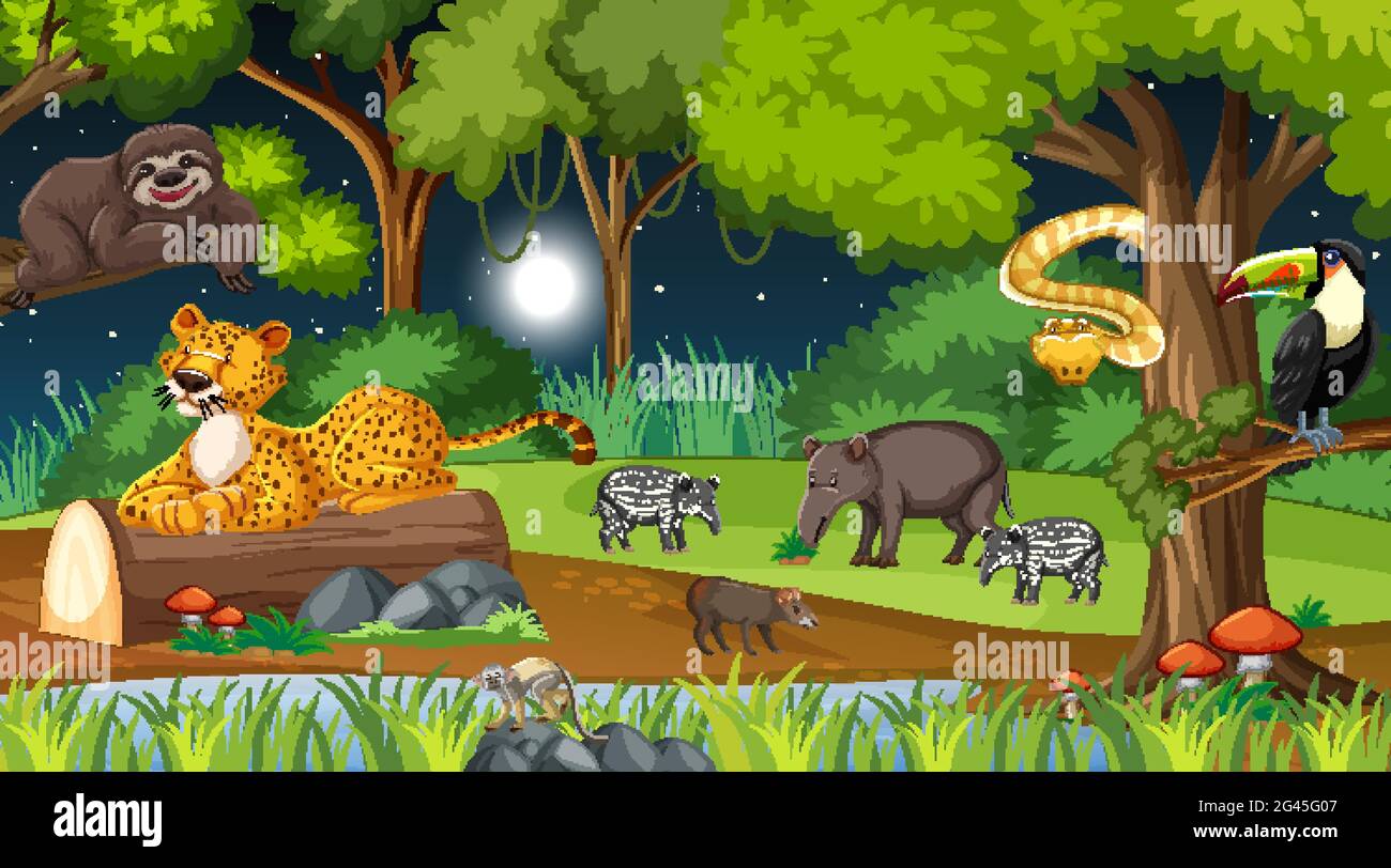 Wild animals in nature forest at night scene illustration Stock Vector ...