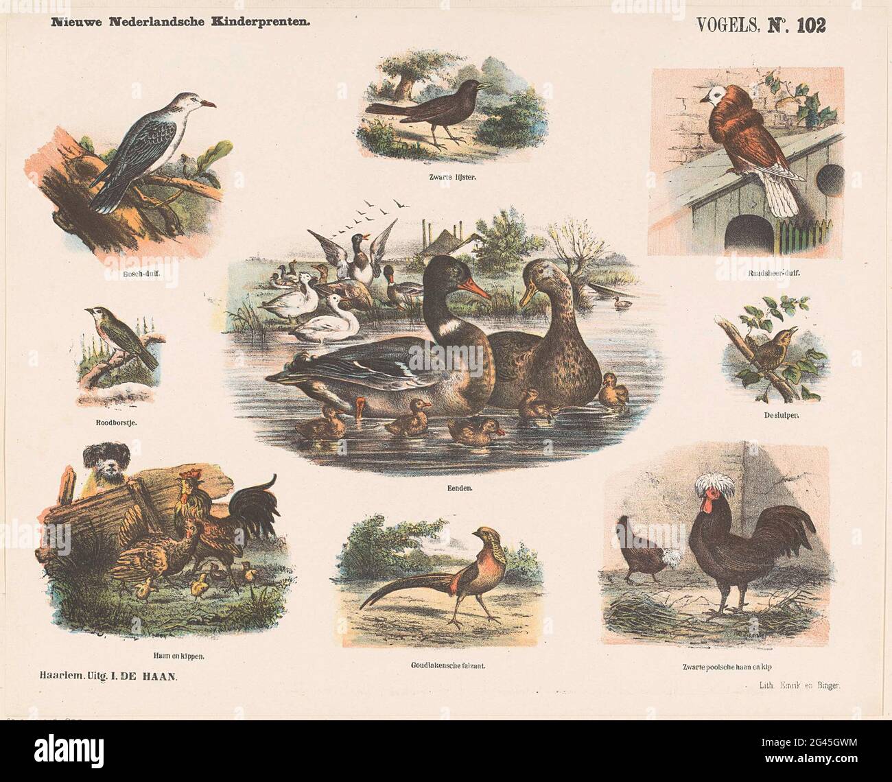 Birds; New Dutch childrens prints. Leaf with 9 representations of birds ...