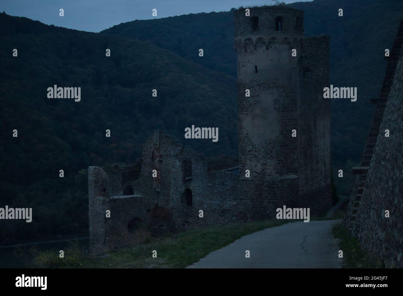 Ehrenfels Castle ruins on a hillside above the Rhine Gorge on a fall ...
