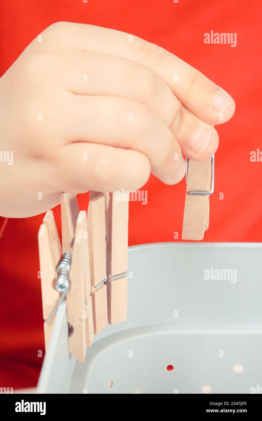 Preschooler playing with wooden clip. Development of kids motor skills ...