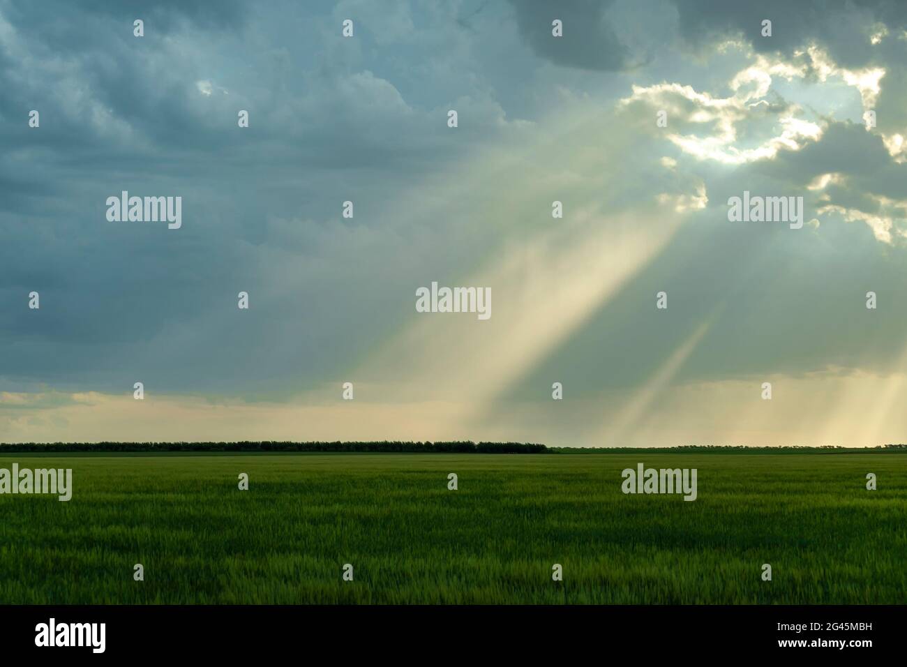 Outdoors, day light front view Stock Photo - Alamy