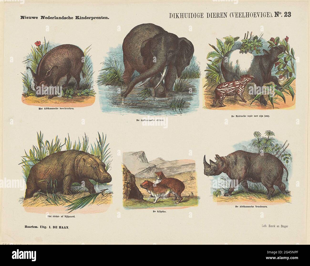 Thick-handed animals (multiply); New Dutch childrens prints. Leaf with ...