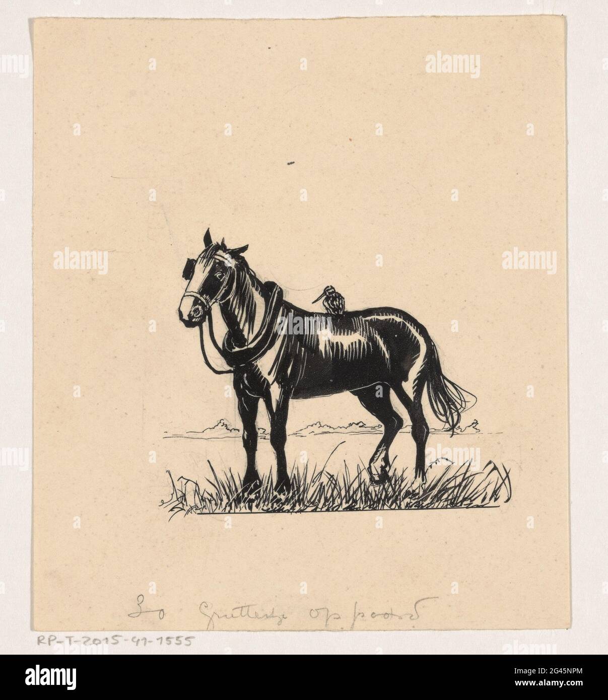 Grutter on a horse. A horse is in a meadow. A grutter is sitting on his ...