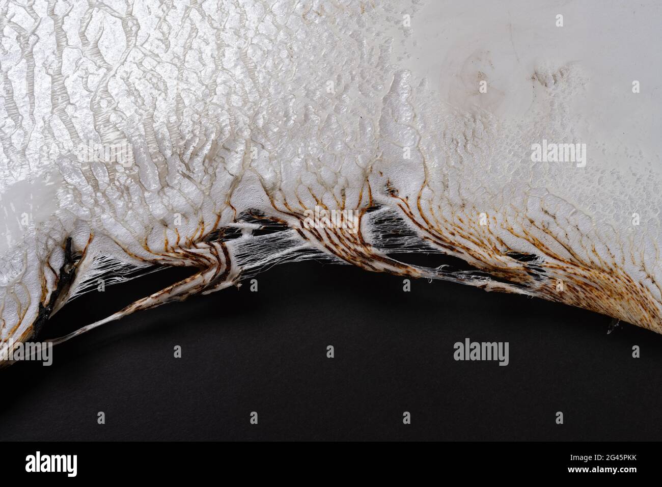 a burnt foam board or KT board on black Stock Photo - Alamy