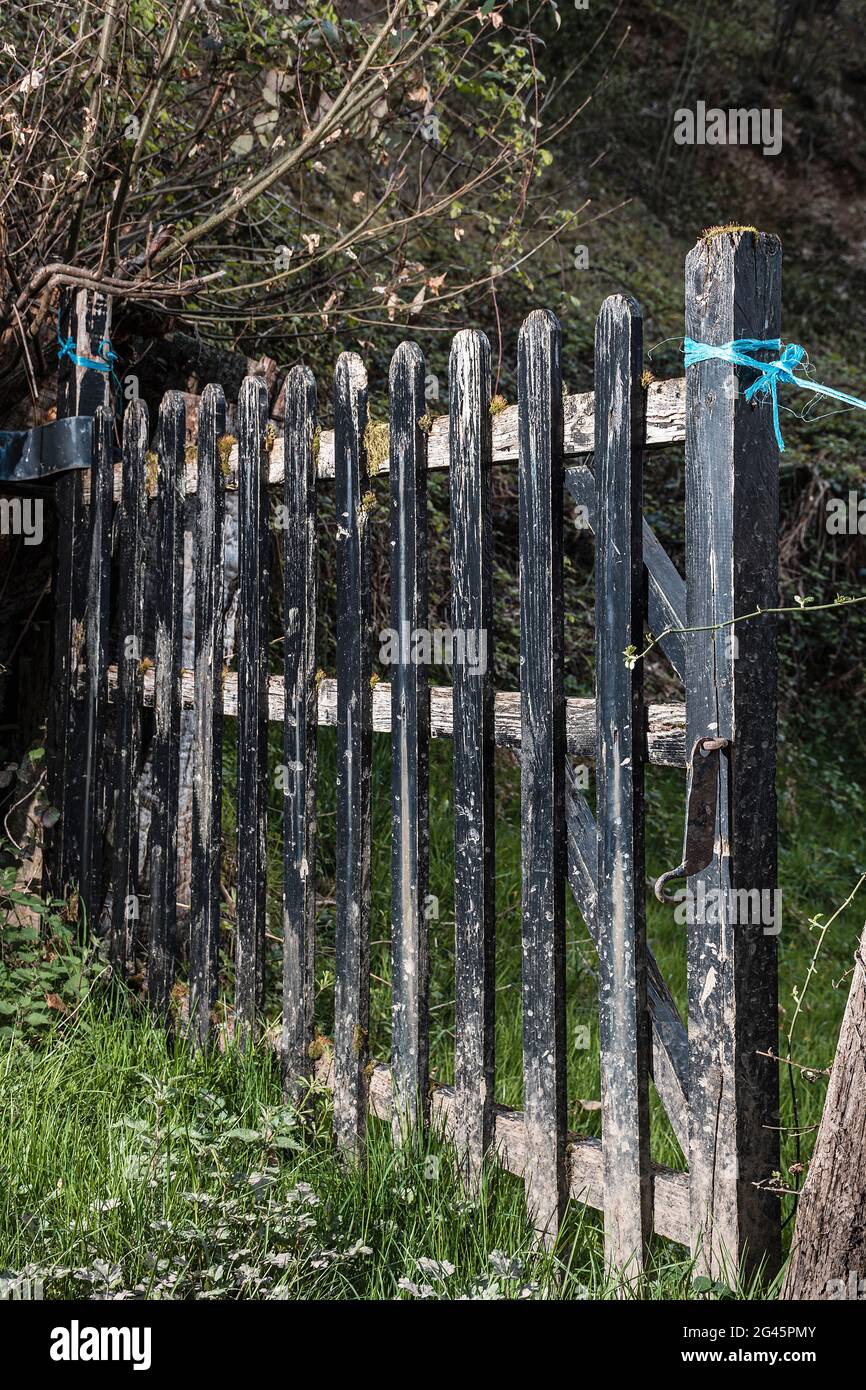Landscape of a hatch that closes a meadow in a council of Asturias ...
