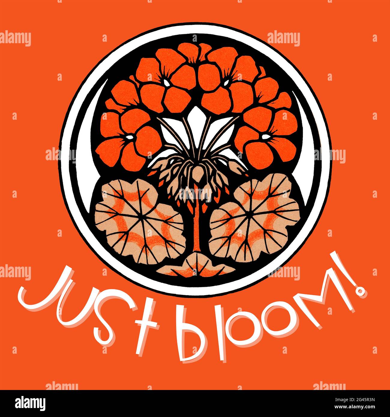 Inspirational quote design: Just Bloom! Stock Photo - Alamy